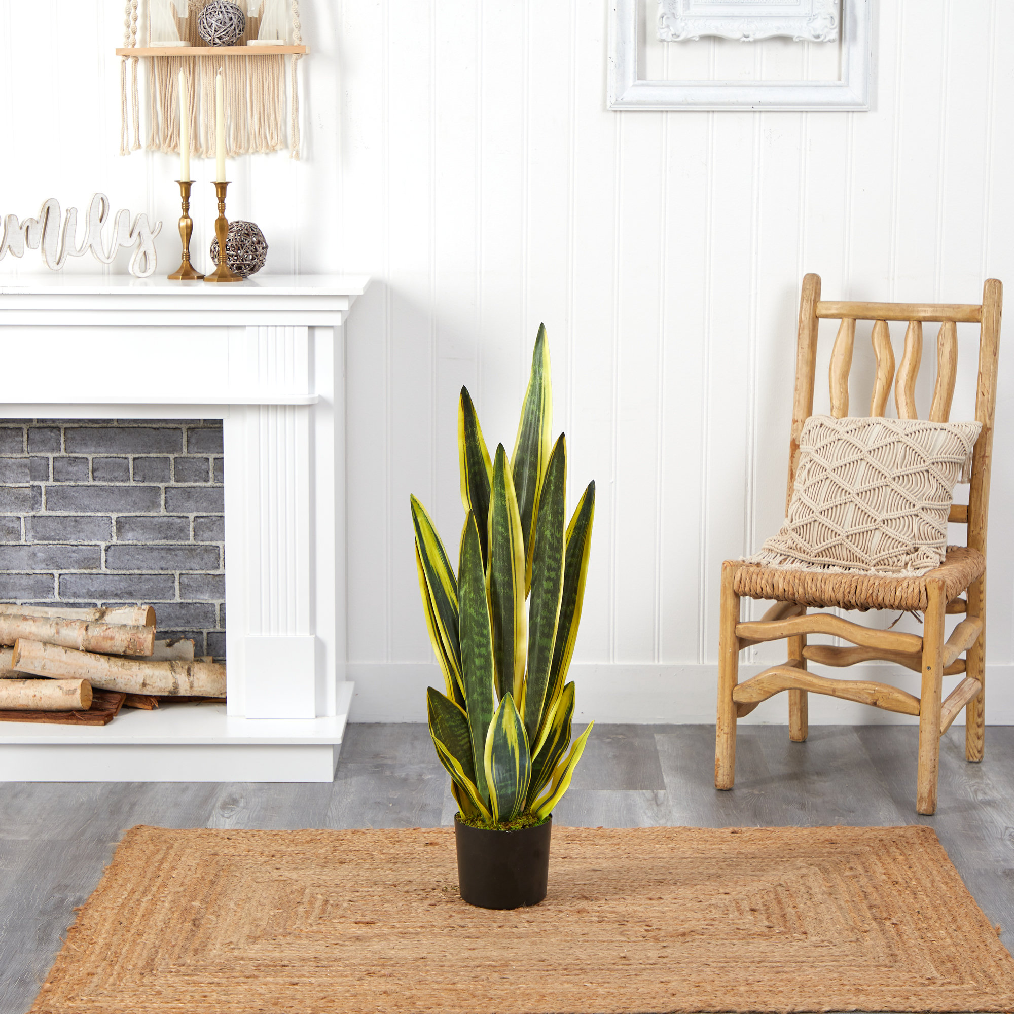 Primrue Artificial Snake Plant Tree & Reviews | Wayfair Primrue Artificial Snake Plant Tree & Reviews | Wayfair