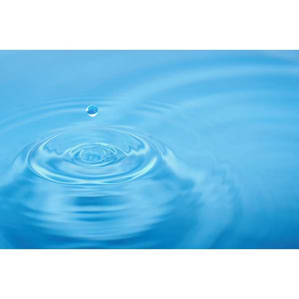 Highland Dunes Water Drop - Print | Wayfair