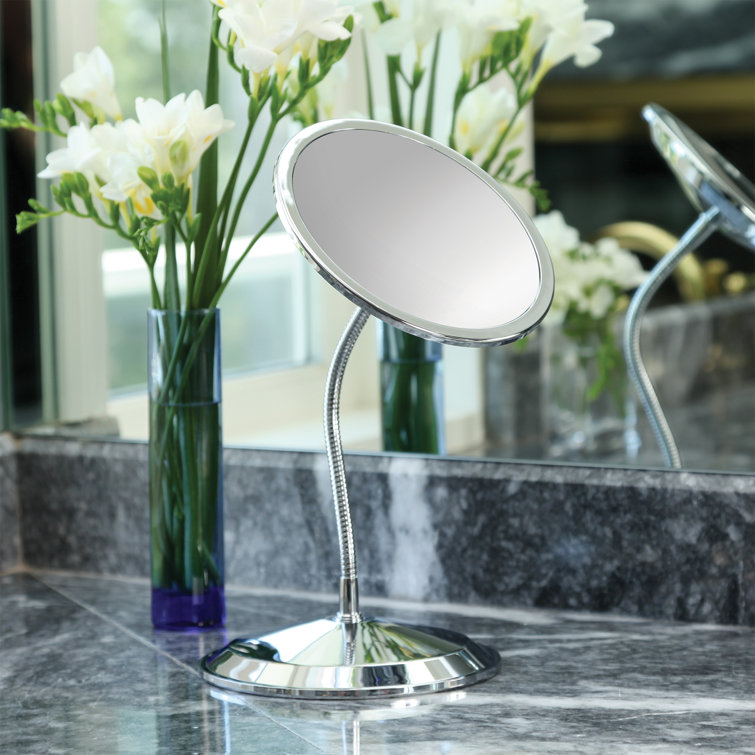 Symple Stuff Luann Double Vision Gooseneck Mirror & Reviews | Wayfair.ca