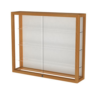 Wall Display Case | Wayfair