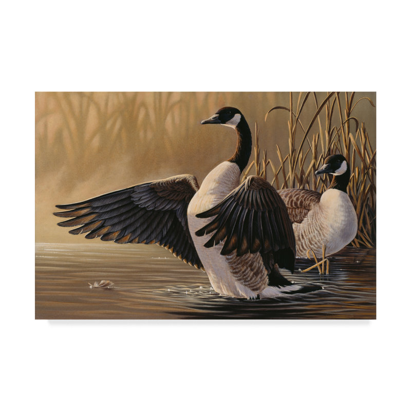 Trademark Art '1994 Canada Geese' Graphic Art Print on Wrapped Canvas ...