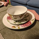 Spode Botanic Garden Terrace Roses 16 Piece Dinnerware Set, Service for ...