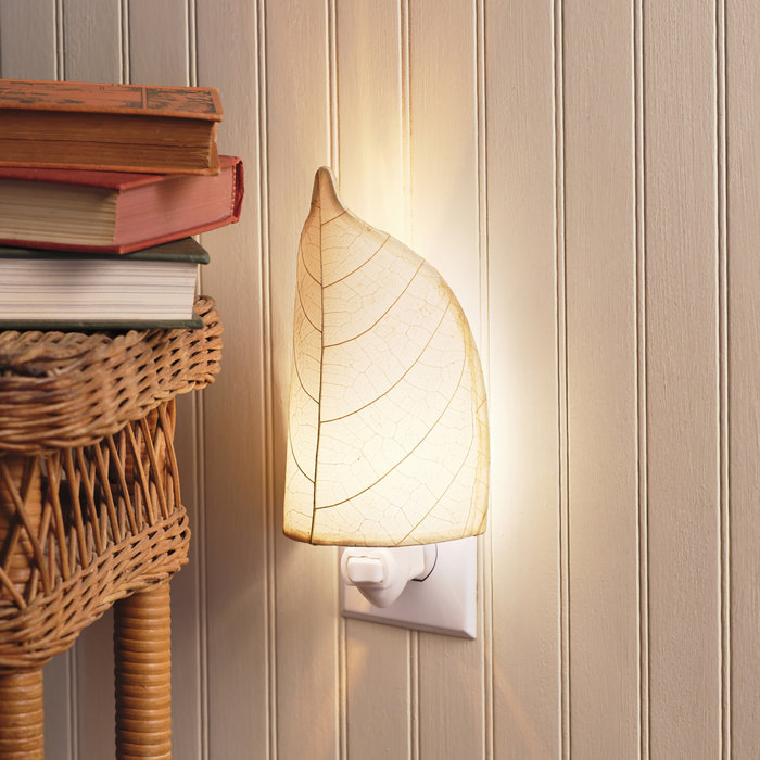 Eangee Home Design Leaf Night Light & Reviews | Wayfair