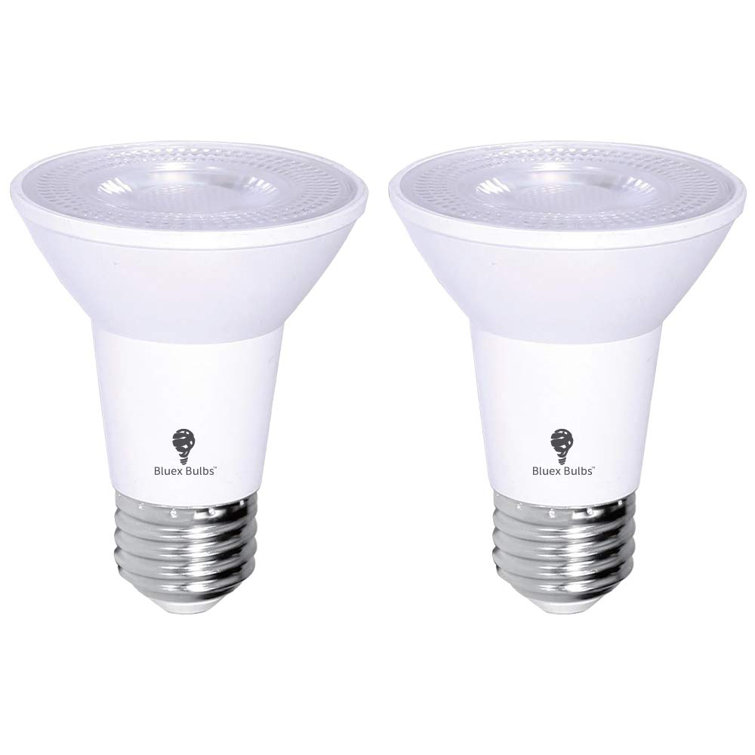 PEDIA Directional & Spotlight | Wayfair