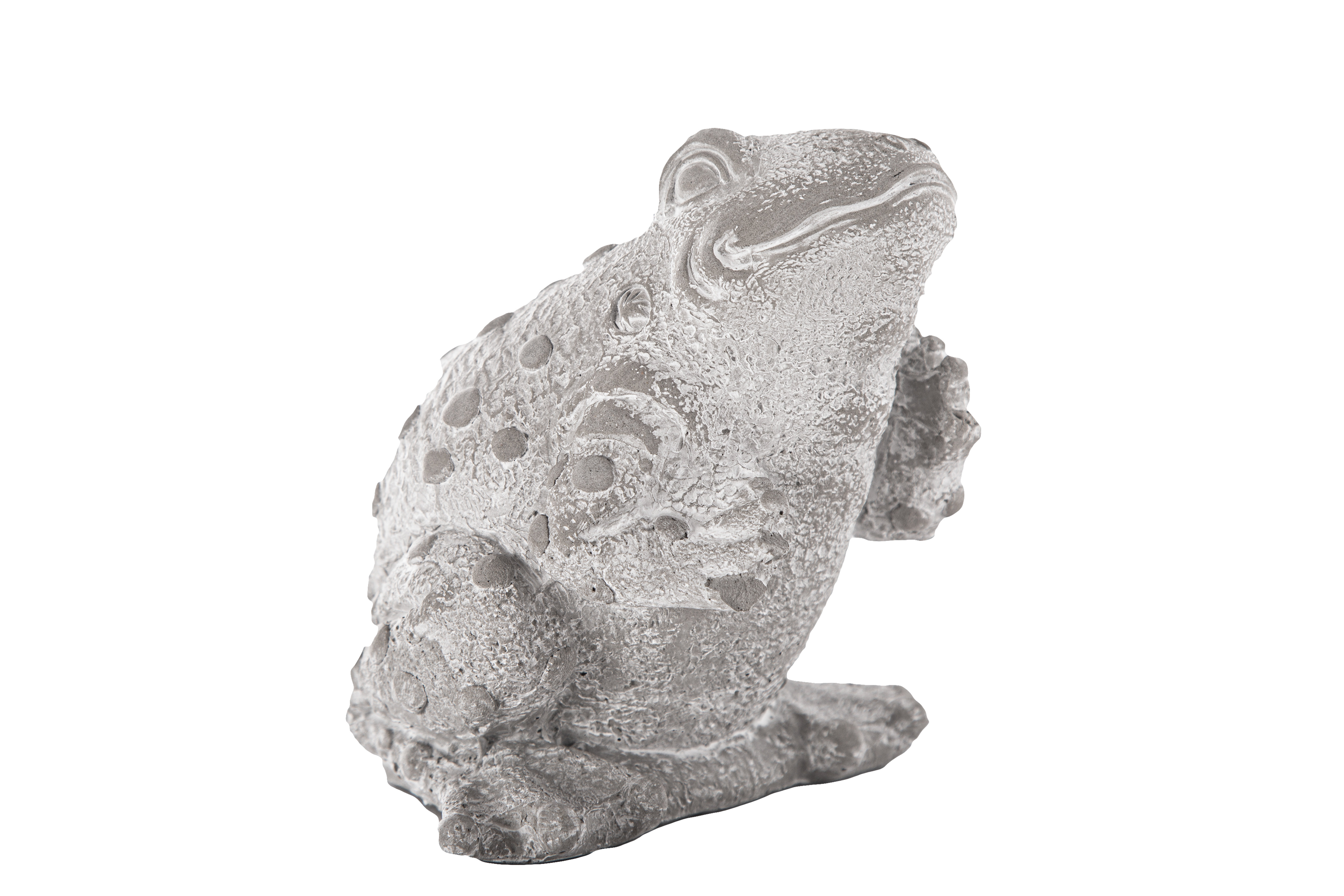 Urban Trends Standing Eastern Rain Frog Figurine | Wayfair