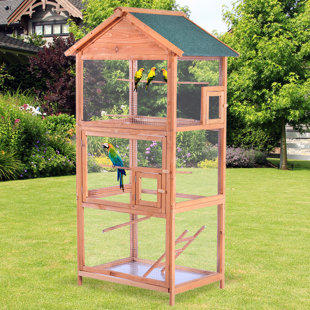 Wayfair | Bird Aviaries