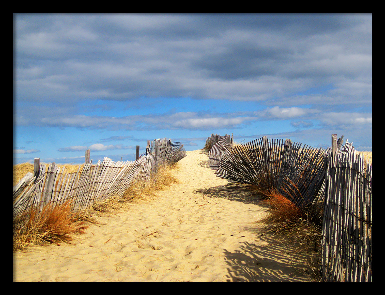 Highland Dunes Path To The Beach by Joseph Condon - Picture Frame ...