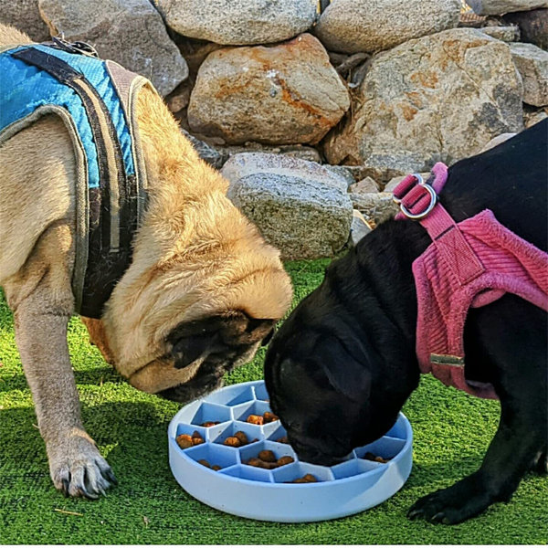 Archie & Oscar Silicone Slow Feeder Dog Bowls For Small Dogs/Medium ...