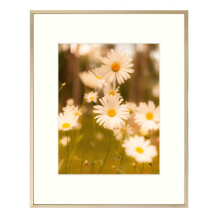 Extra Large (Over 20") Picture Frames You'll Love in 2021 | Wayfair