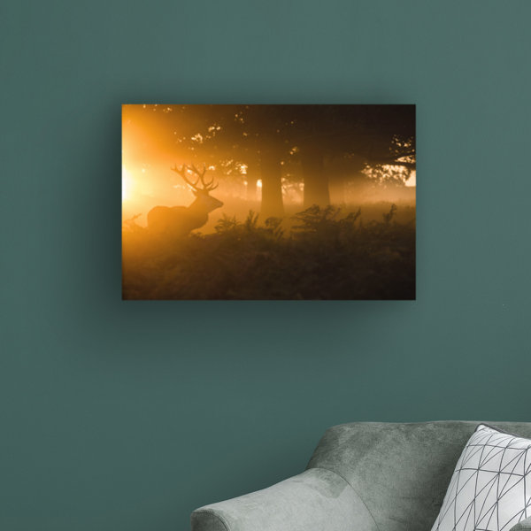 Millwood Pines Stag In The Mist by Stuart Harling - Wrapped Canvas ...
