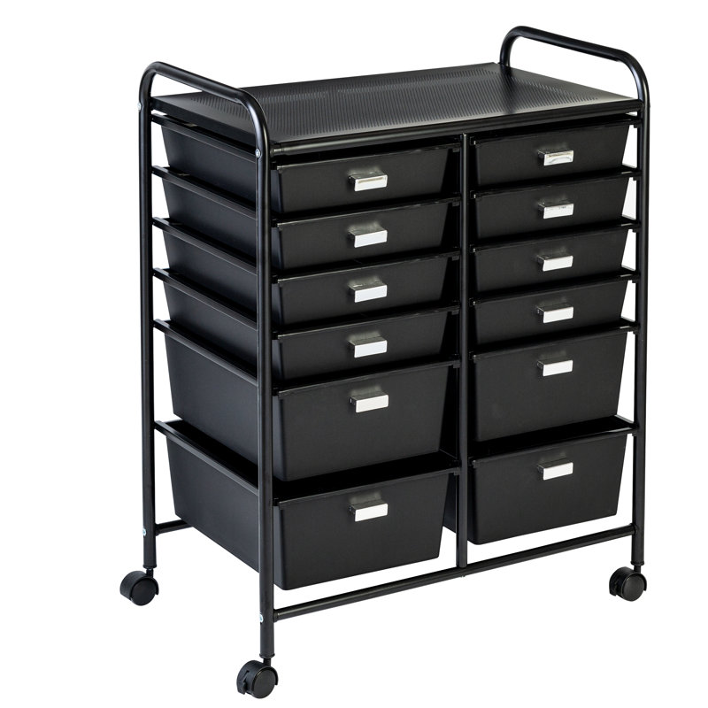 Rebrilliant Aiden 12 Drawer Rolling Storage Chest & Reviews | Wayfair