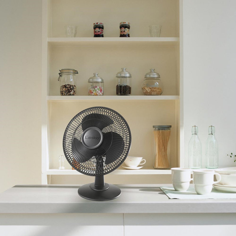 Lasko 12" Oscillating Table Fan & Reviews | Wayfair