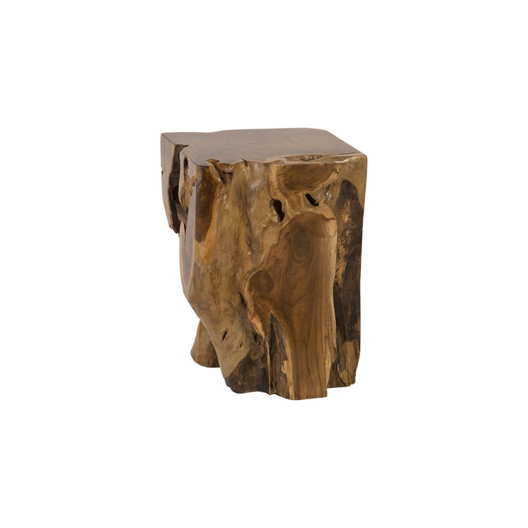 Phillips Collection Teak Root Side Table & Reviews | Perigold