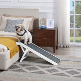 Dog Ramps & Stairs You'll Love in 2022 - Wayfair Canada