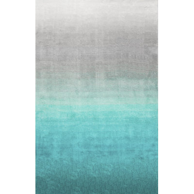 Turquoise | Wayfair
