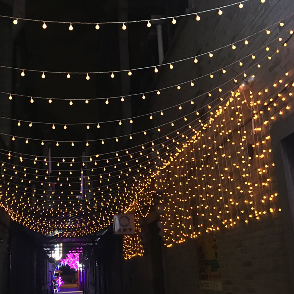 Outdoor String Lights You'll Love in 2019 | Wayfair.ca