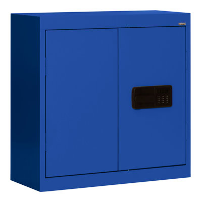 Blue Garage Storage Cabinets You'll Love in 2020 | Wayfair