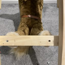 Harriet Bee Susana Rocking Horse & Reviews | Wayfair.co.uk