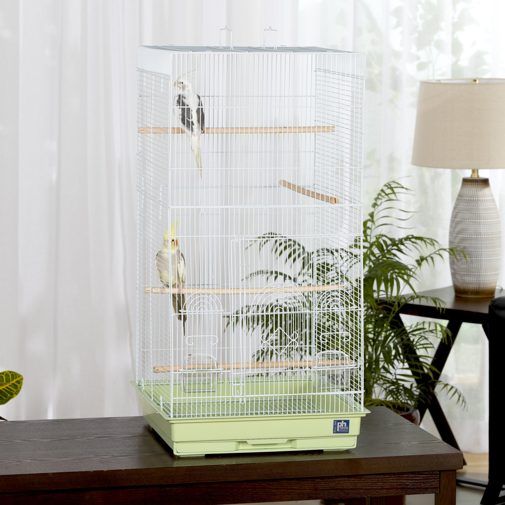 Archie & Oscar™ Hilary 36'' Steel Flat Top Table Top Bird Cage with ...