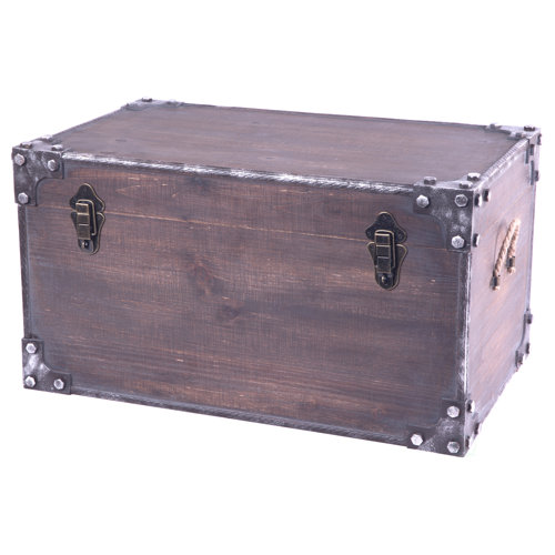 Breakwater Bay Rundell Vintage Trunk & Reviews | Wayfair