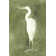 Highland Dunes Emerald Heron IV by - Wrapped Canvas Painting | Wayfair