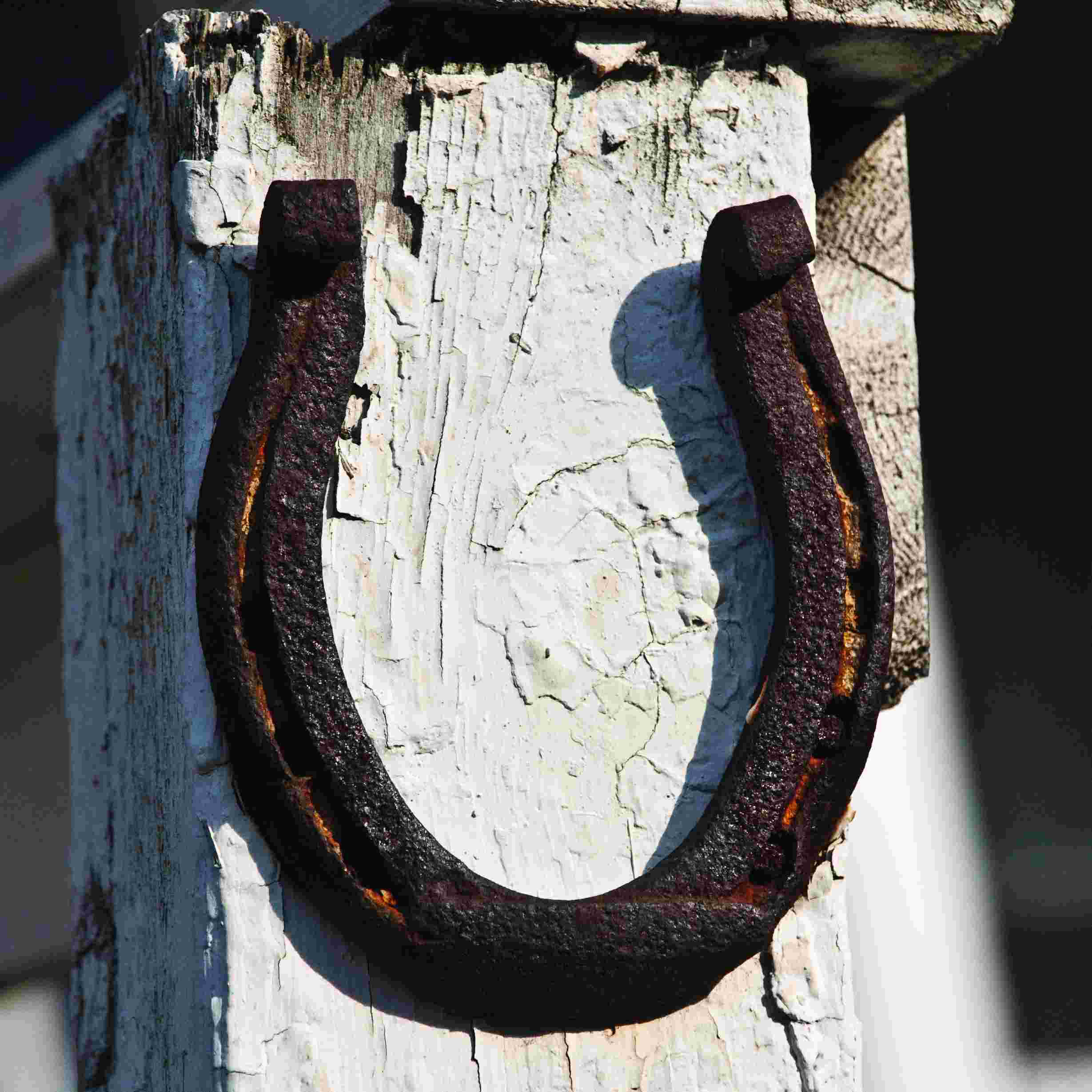Union Rustic Rusty Horseshoe Photography - Wrapped Canvas Print | Wayfair