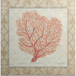 Great Big Canvas 'Coral Beauty Light III' by Emily Adams Graphic Art ...