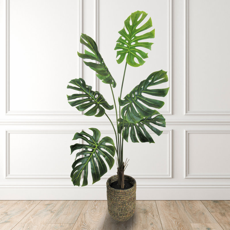 Bay Isle Home 60" Artificial Monstera Plant in Basket & Reviews | Wayfair
