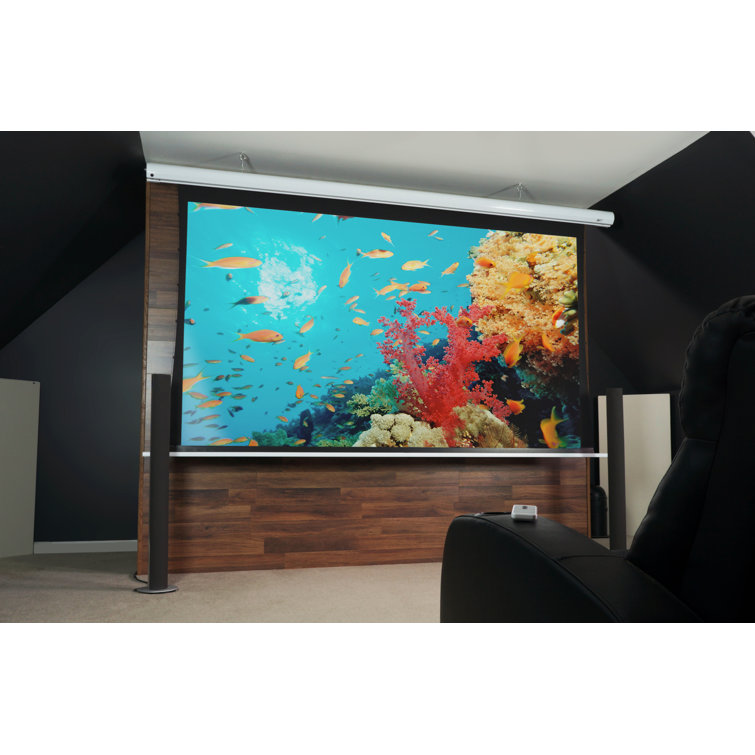 Elite Screens Saker White Electric Wall/Ceiling Mounted Projector ...