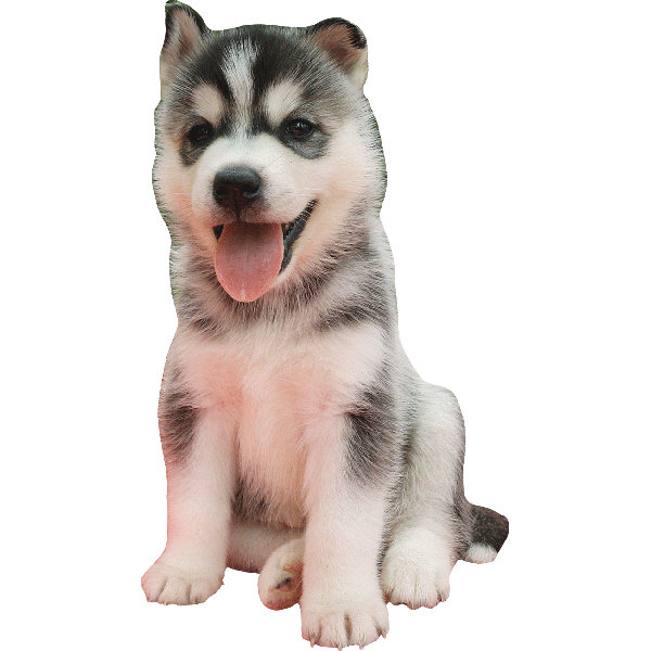 Wallhogs HuskyWall Decal | Wayfair