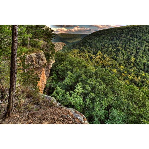 Millwood Pines Hawksbill Crag/Whitaker Point - Wrapped Canvas ...