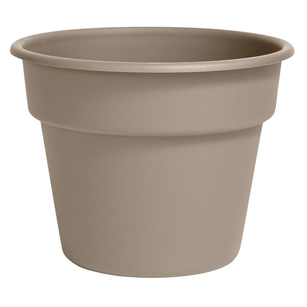 8 Inch Flower Pots | Wayfair