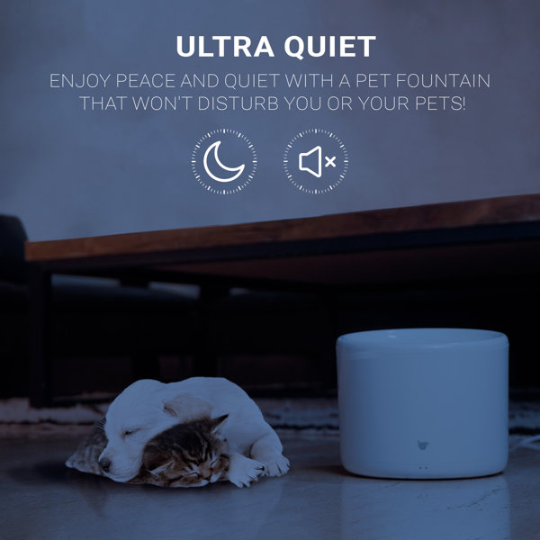 Instachew Purrflow Smart Pet Water Fountain, App Enabled Automatic ...