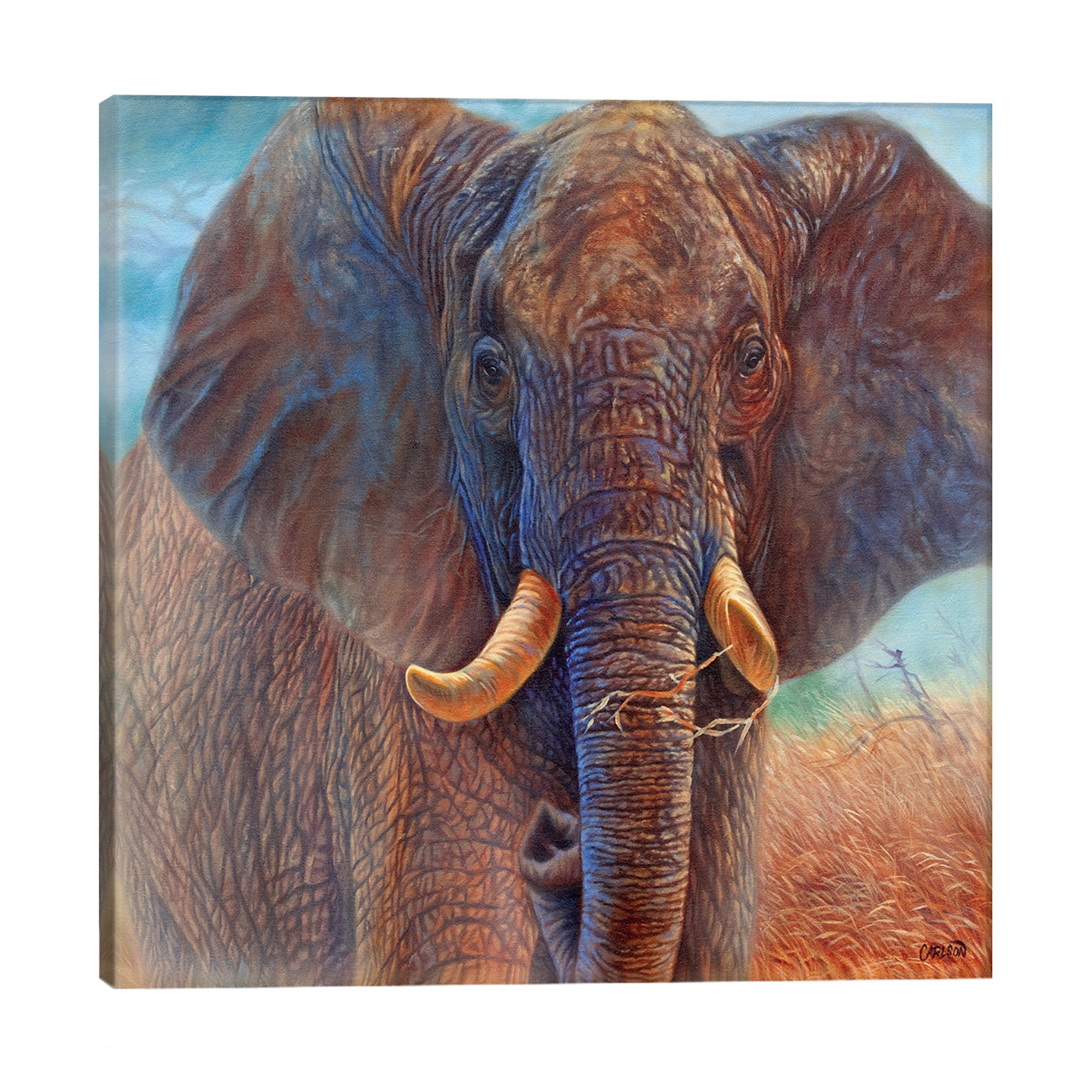 Paintings By Jane Carlson
