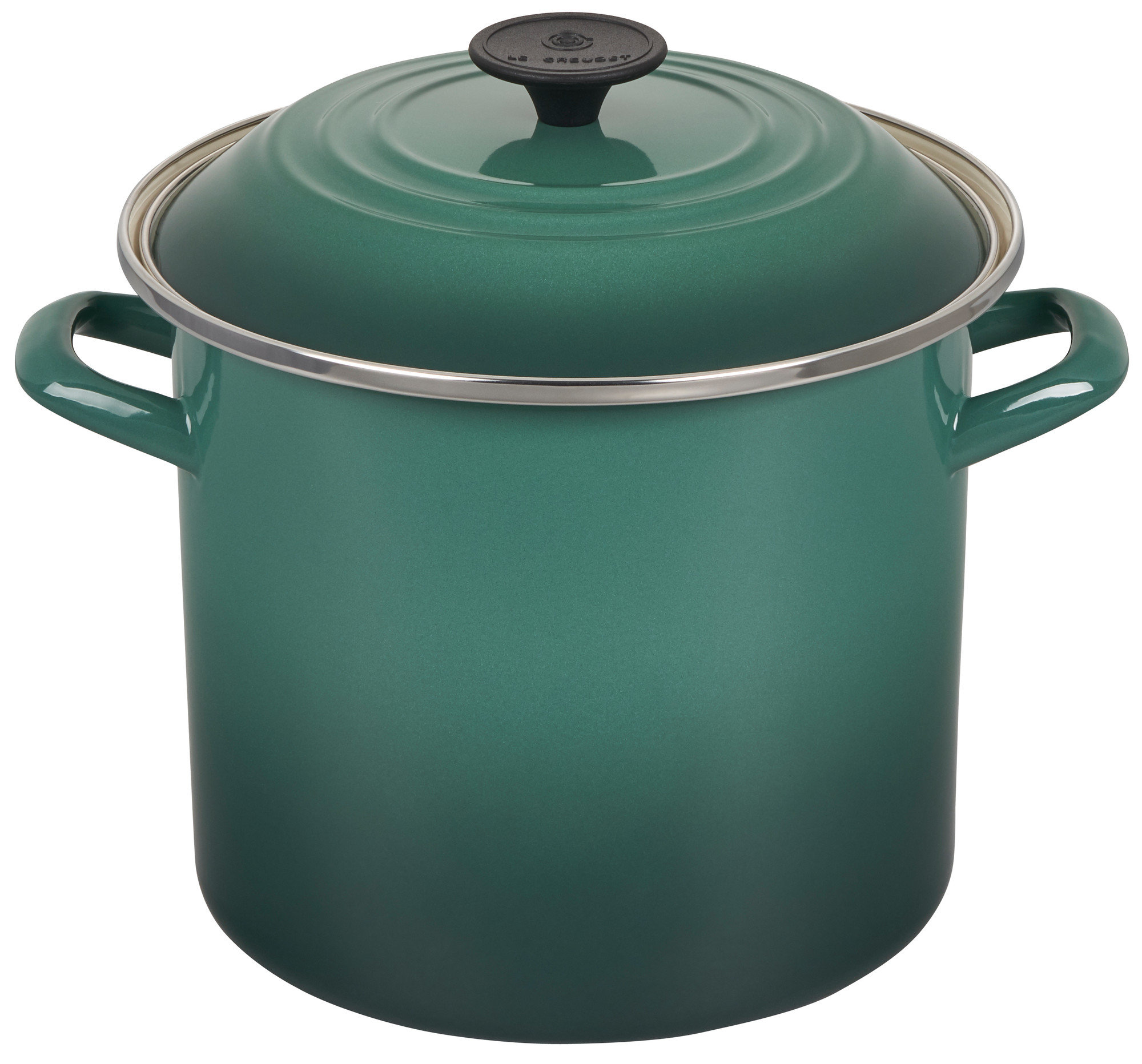 Le Creuset Enamel on Steel Stockpot with Lid & Reviews | Wayfair