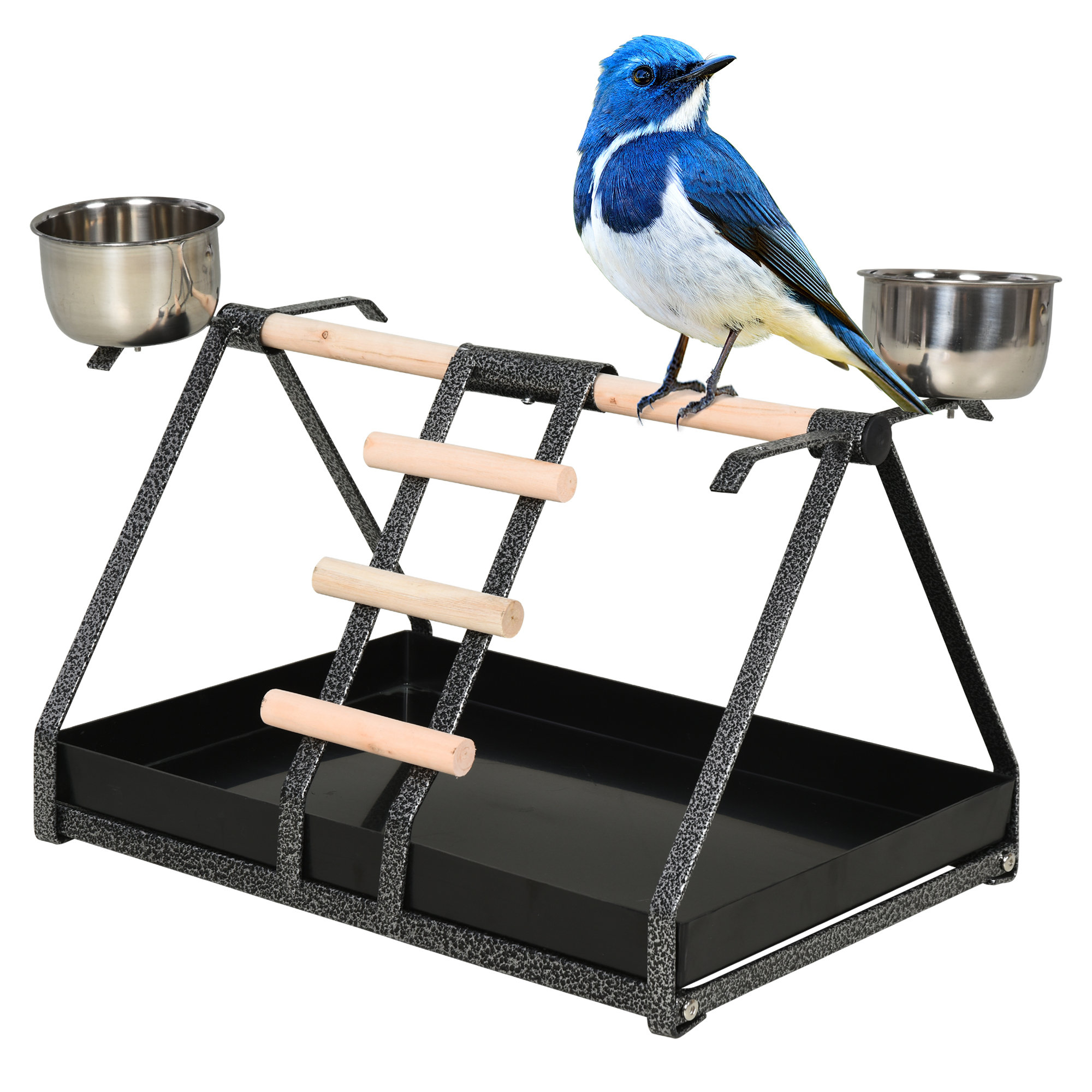 Pawhut 10.75'' Wood Bird Play Stand for Table Top & Reviews | Wayfair