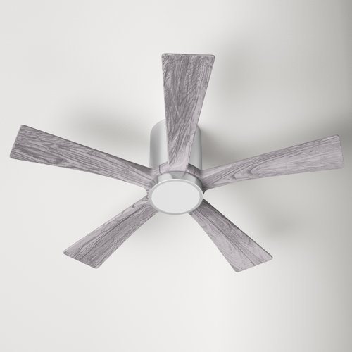 Modern Small Room Ceiling Fans | AllModern