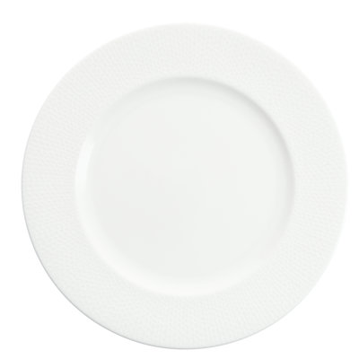 12 Inch Dinner Plates | Wayfair