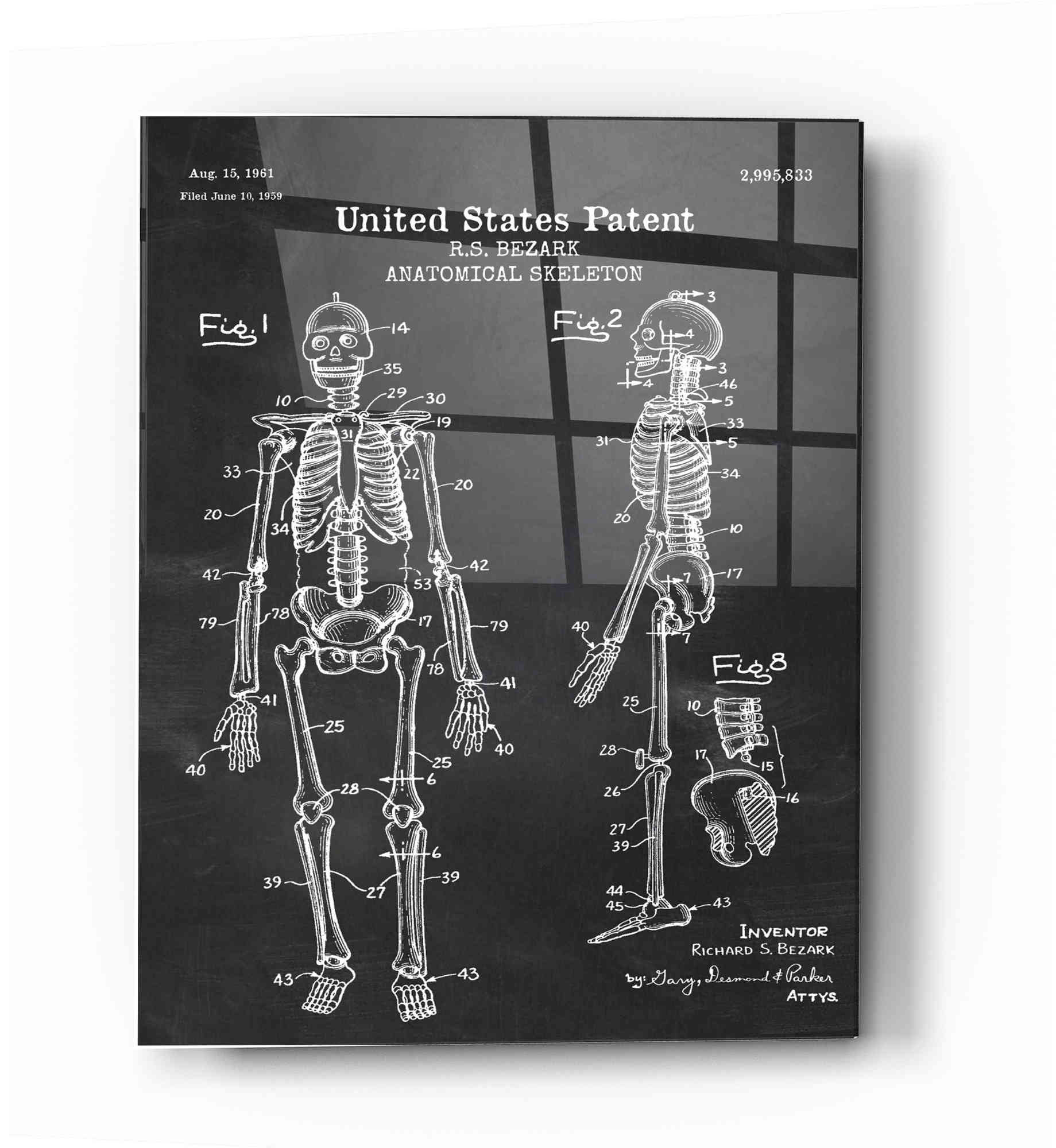 17 Stories Anatomical Skeleton Blueprint Patent Chalkboard - Graphic ...