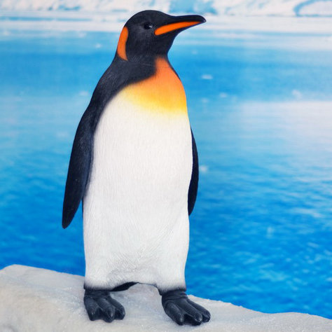 Hi-Line Gift Ltd. Figurine pingouin et Commentaires - Wayfair Canada