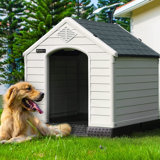 Wayfair | Dog Houses You'll Love in 2022