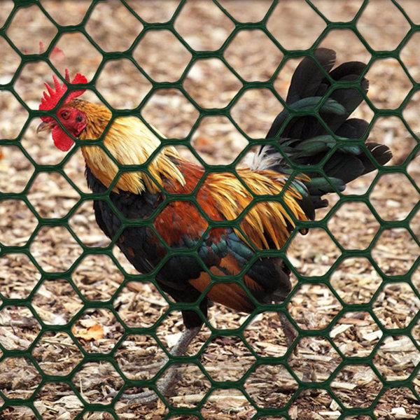 Boen Poultry Hex Netting Vinyl Fencing & Reviews | Wayfair