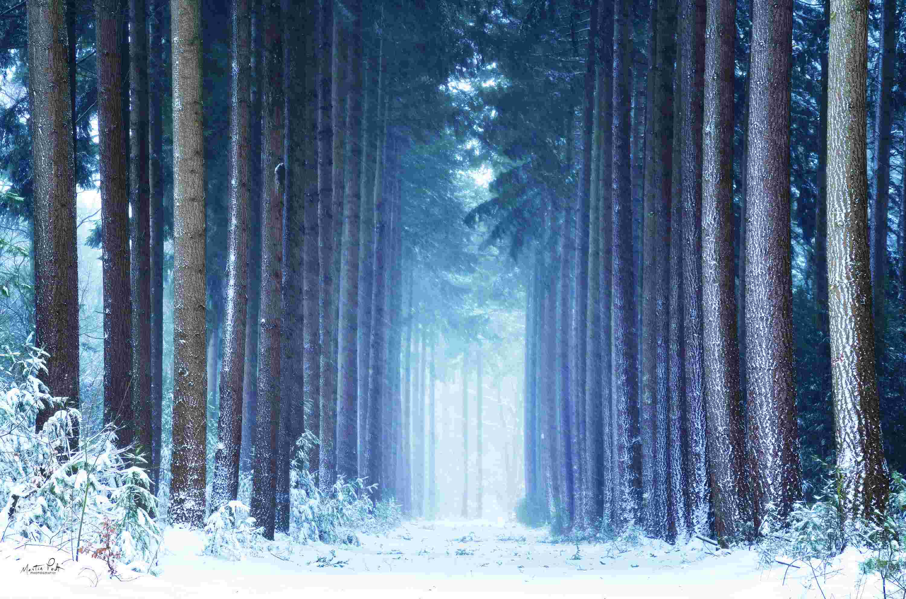 Loon Peak® Polar Winter by Martin Podt - Wrapped Canvas Photograph ...