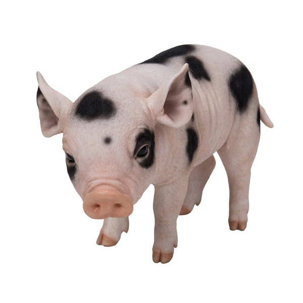 Hi-Line Gift Ltd. Standing Baby Pig Statue & Reviews | Wayfair