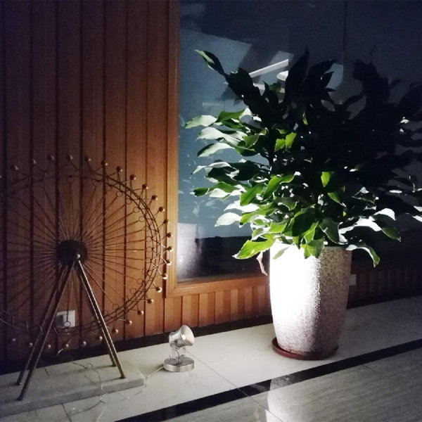 fedigorlocn 6 Inch LED 6W Focus Up Light, Directional Adjustable ...