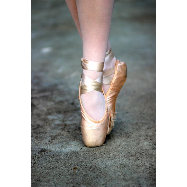 Rosecliff Heights Ballet Pointe Dancers by - Wrapped Canvas Photograph ...