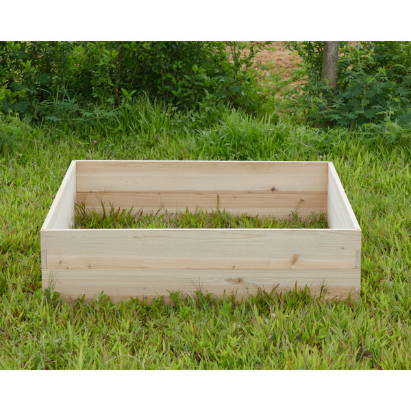 Arlmont & Co. Dorgan 4 ft x 4 ft Planter Box | Wayfair