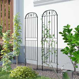 Wayfair | Trellises You'll Love in 2022