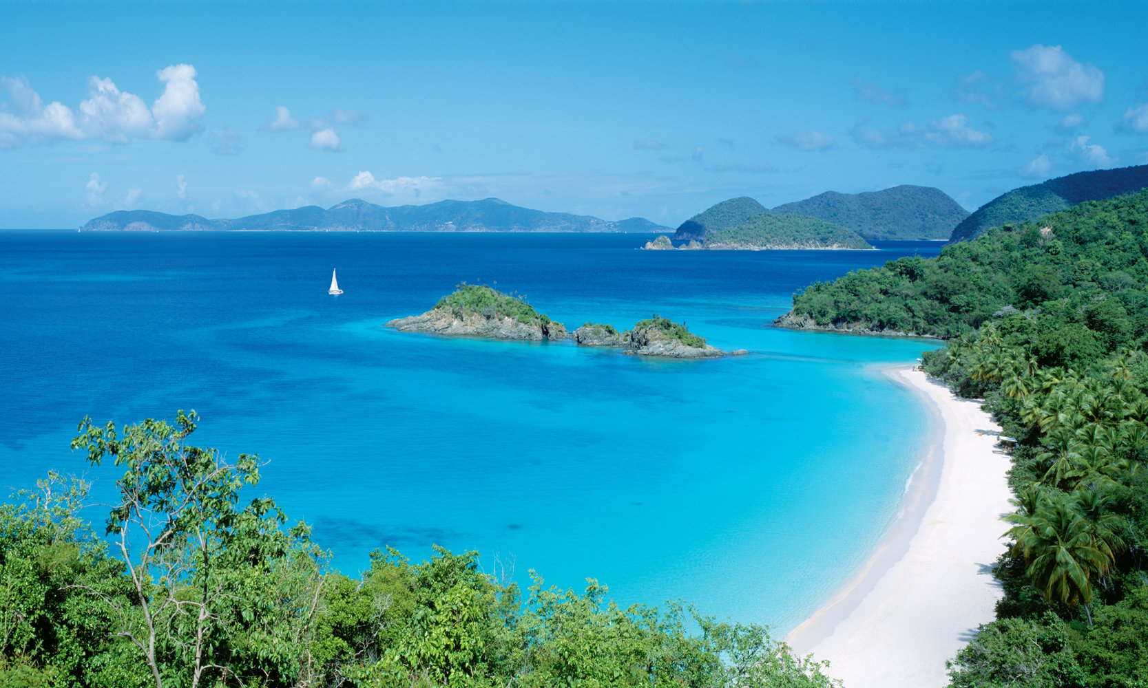 Highland Dunes Island Cove Window Decal | Wayfair