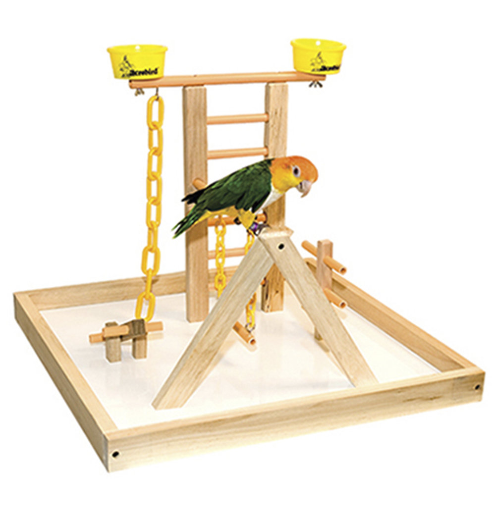 Featherland/Paradise 22'' Wood Bird Play Gym for Table Top | Wayfair
